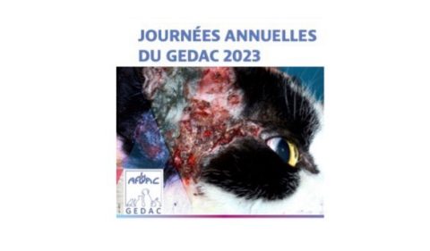 GEDAC AFVAC 2023 - Clinique Vétérinaire du Front de Mer